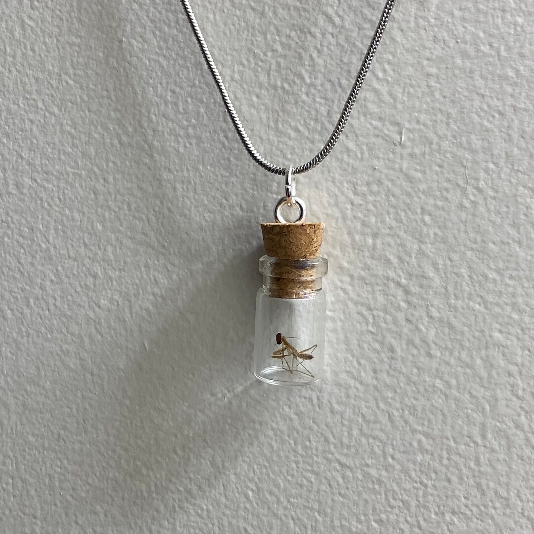 Praying Mantis Baby Specimen in a Jar Pendant on a Silver 925 Necklace ...