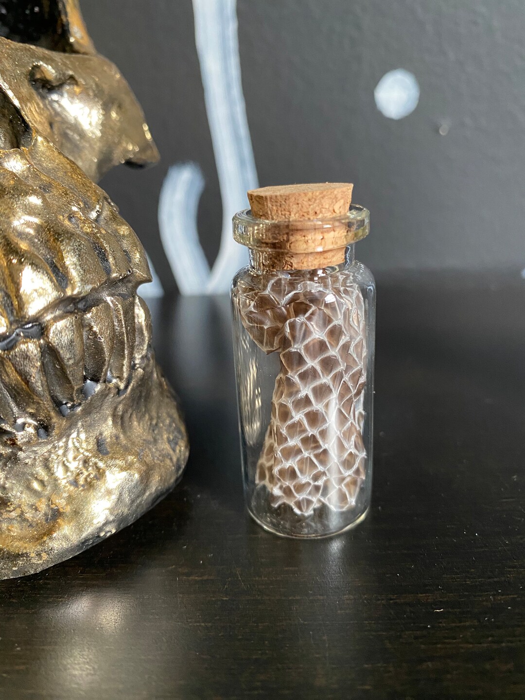 Glass Jar of Snake Shed Apothecary Oddity Vial - Etsy