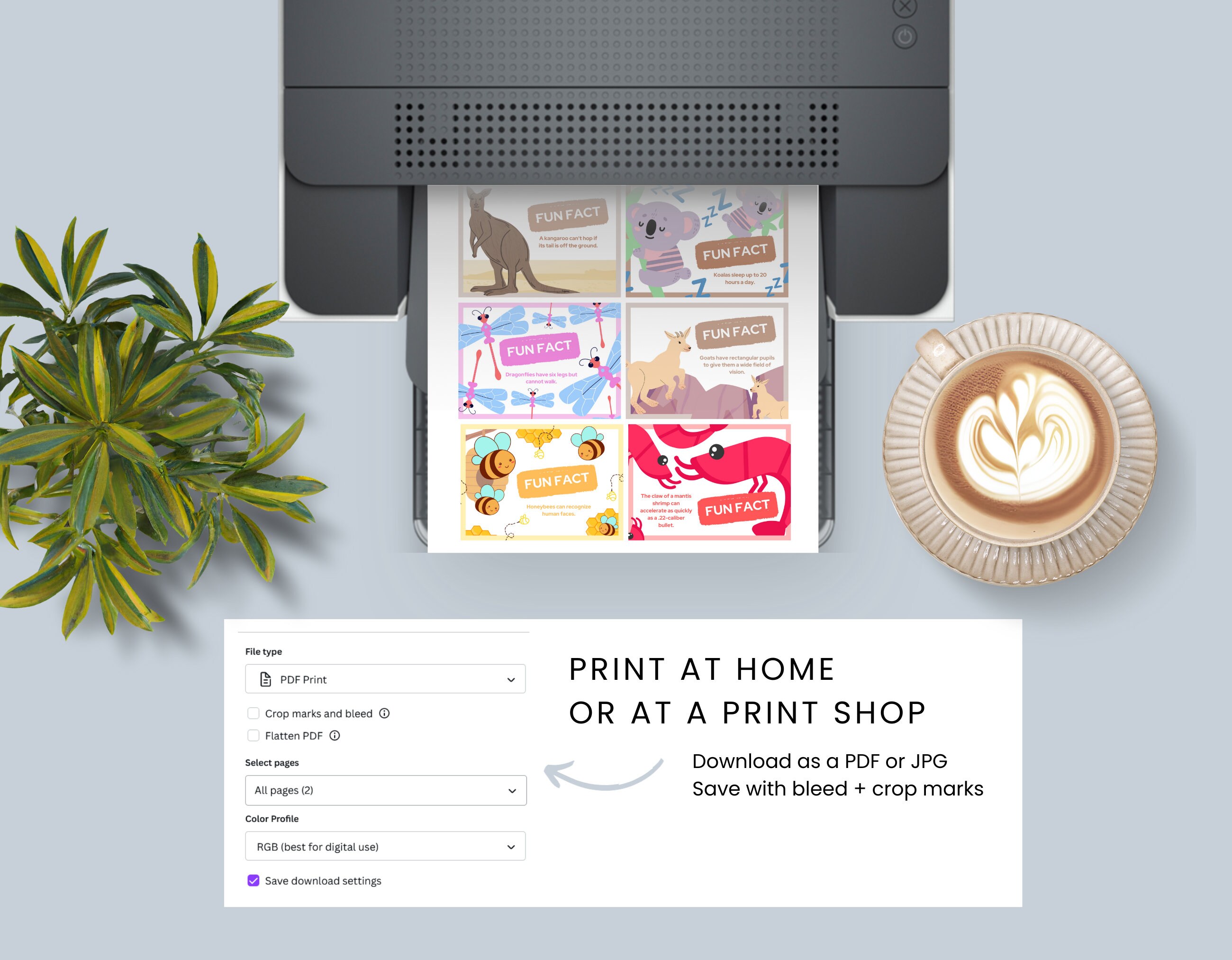 Lunch Box Notes Bundle of 50 Animal Fun Facts for Kids, Printable Lunch ...