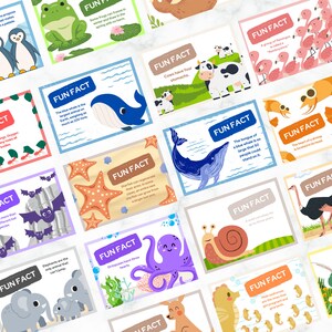 Lunch Box Notes Bundle of 50 Animal Fun Facts for Kids, Printable Lunch ...