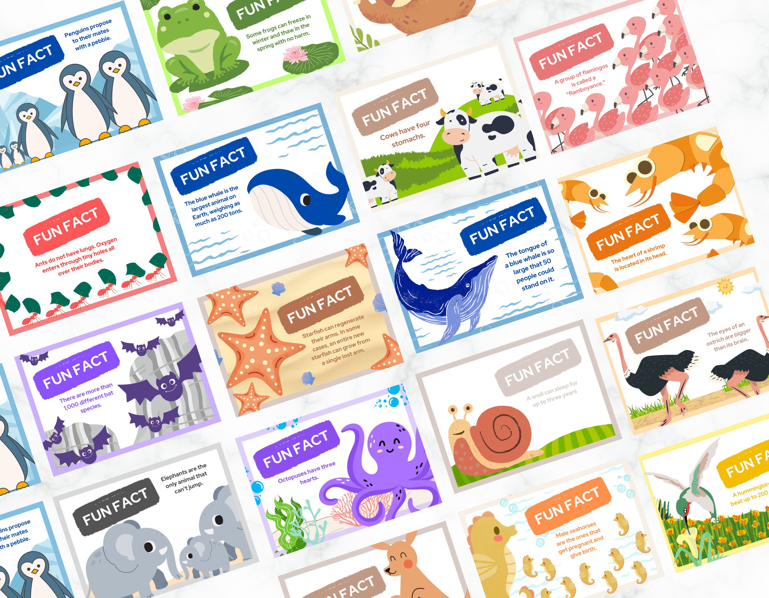 Lunch Box Notes Bundle of 50 Animal Fun Facts for Kids, Printable Lunch ...