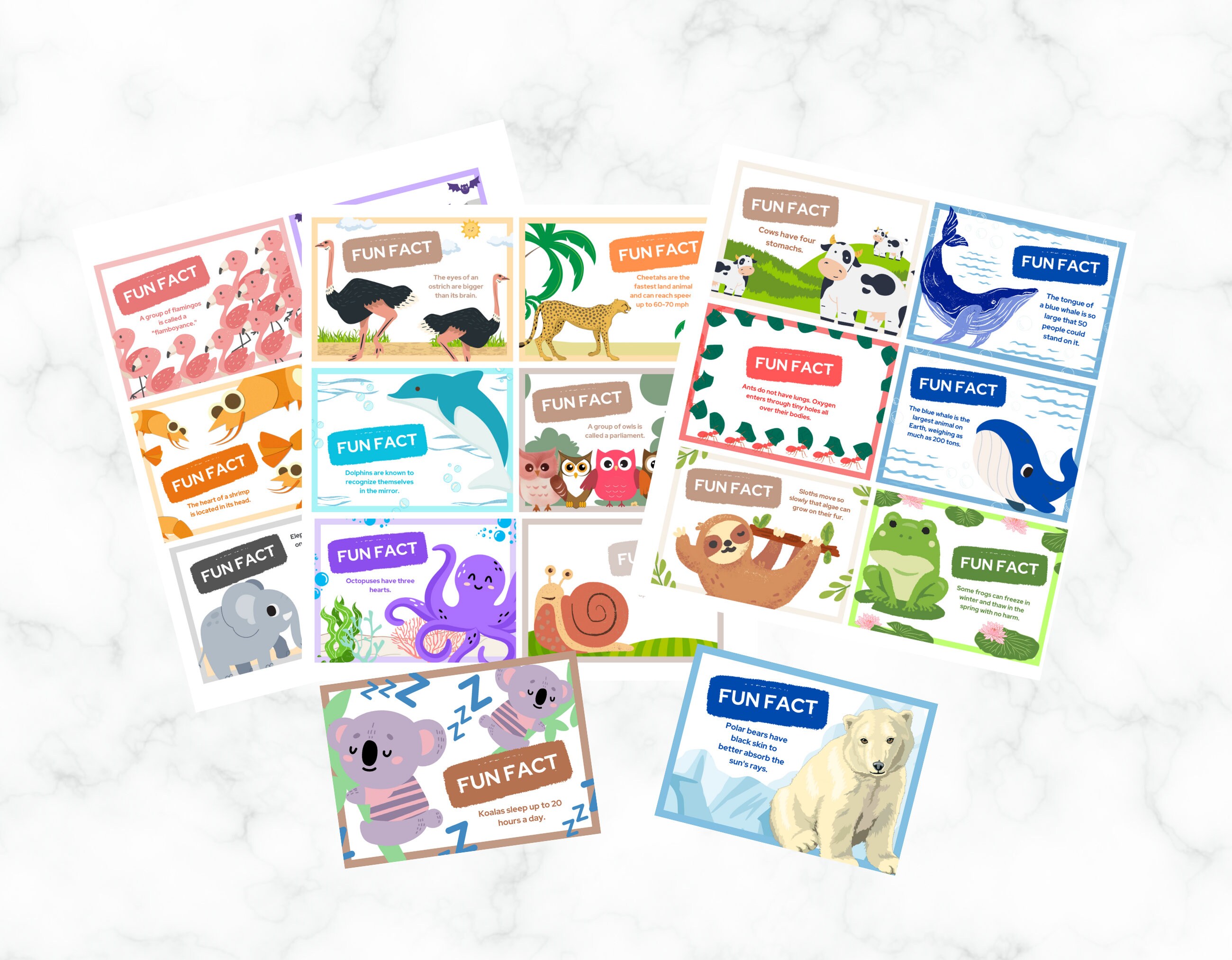 Lunch Box Notes Bundle of 50 Animal Fun Facts for Kids, Printable Lunch ...