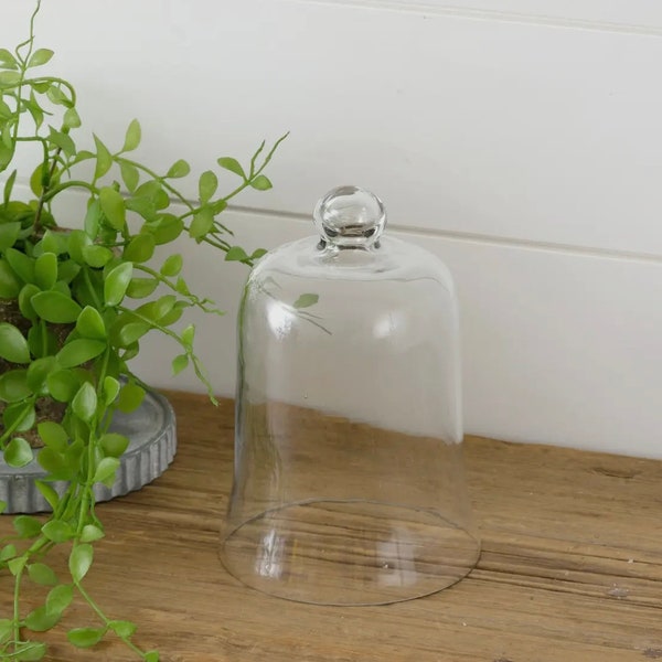 Glass Cloche - Etsy