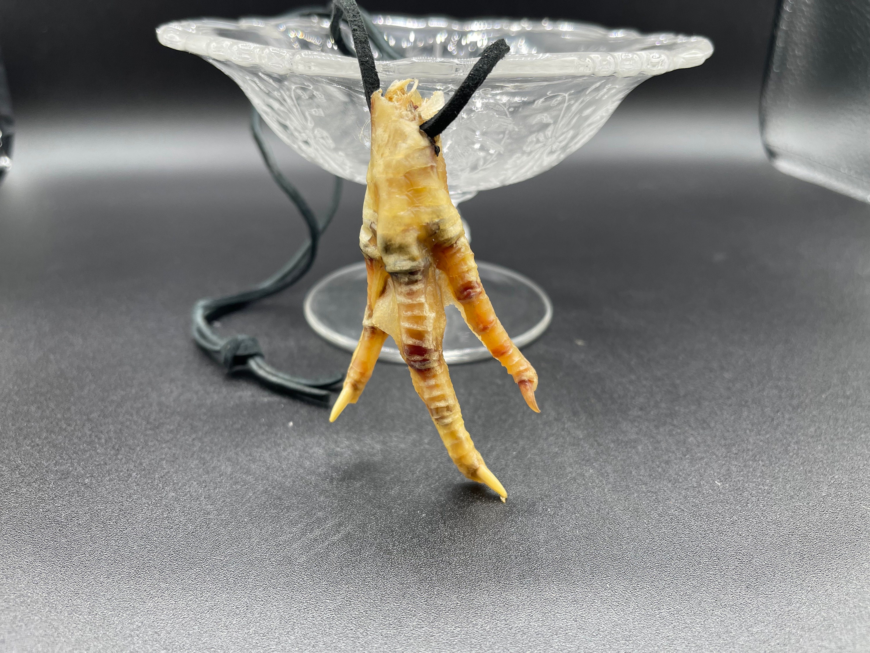 CHICKEN FOOT NECKLACE Black Cord Louisiana Voodoo Hoodoo Protection ...