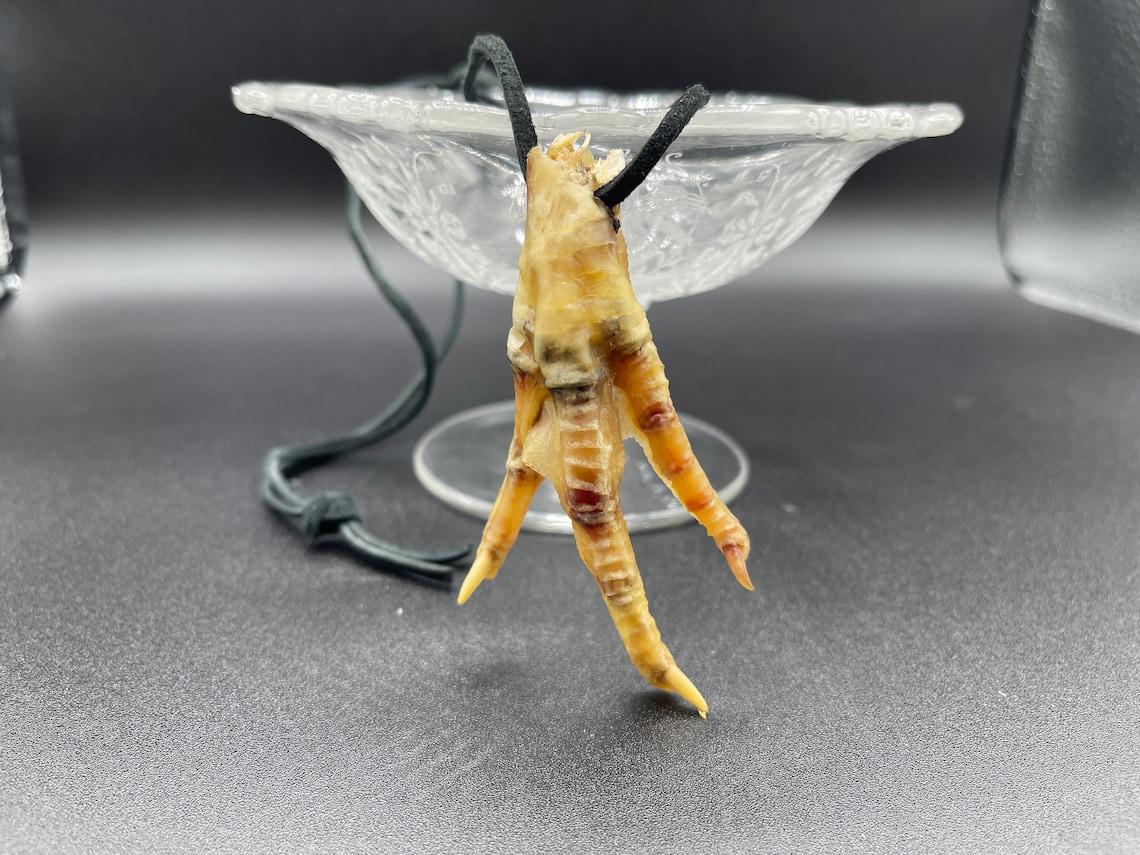 CHICKEN FOOT NECKLACE Black Cord Louisiana Voodoo Hoodoo Protection ...