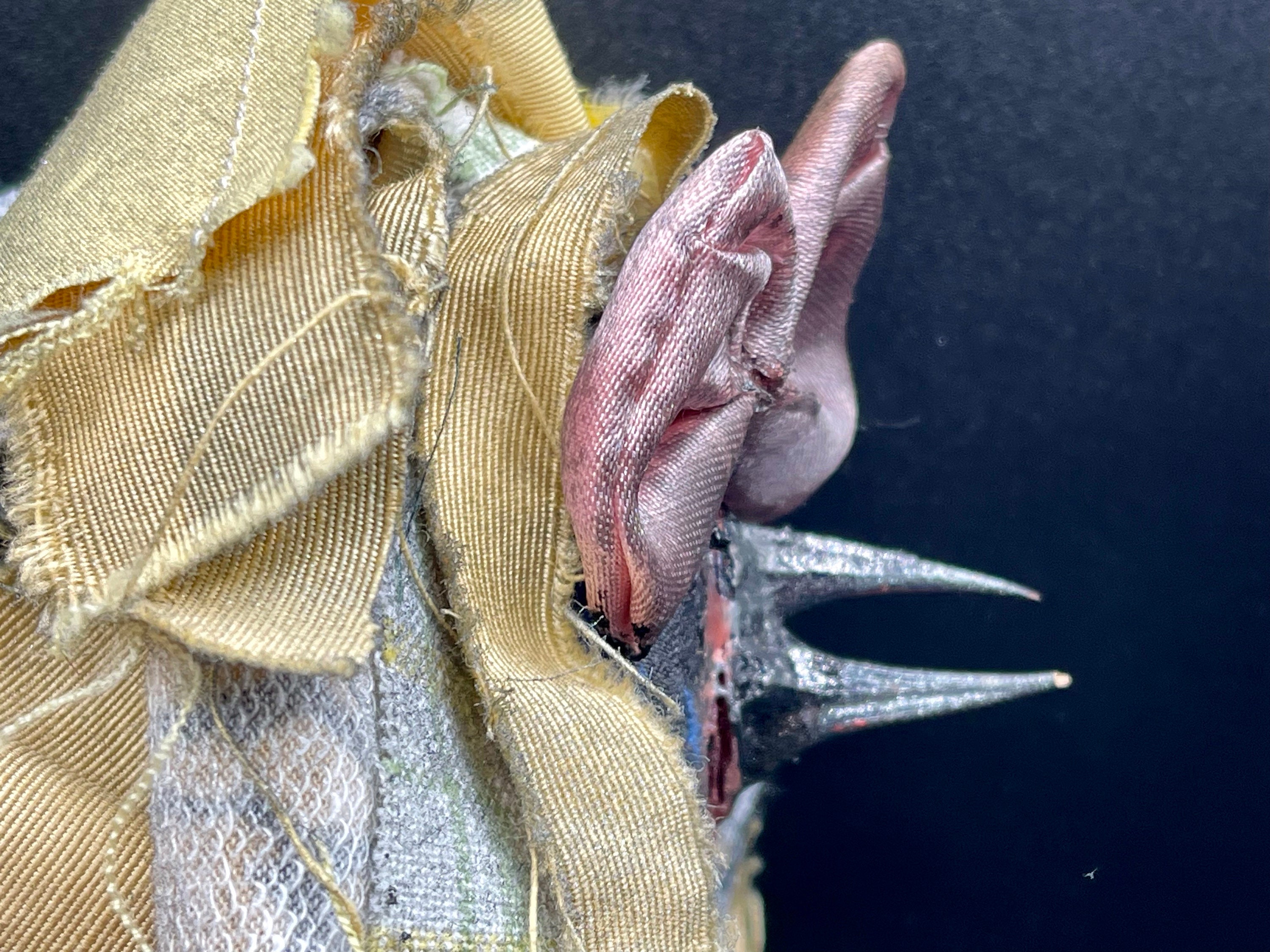 MADAM CROW Latisha VOODOO Doll Amulet Poppet Hoodoo Santeria Shaman ...