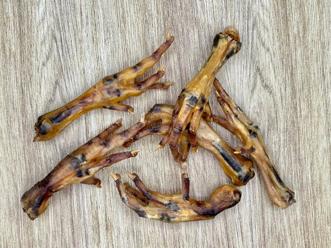 ROOSTER CHICKEN FOOT Feet Large Protection War Retaliation Hex Voodoo ...