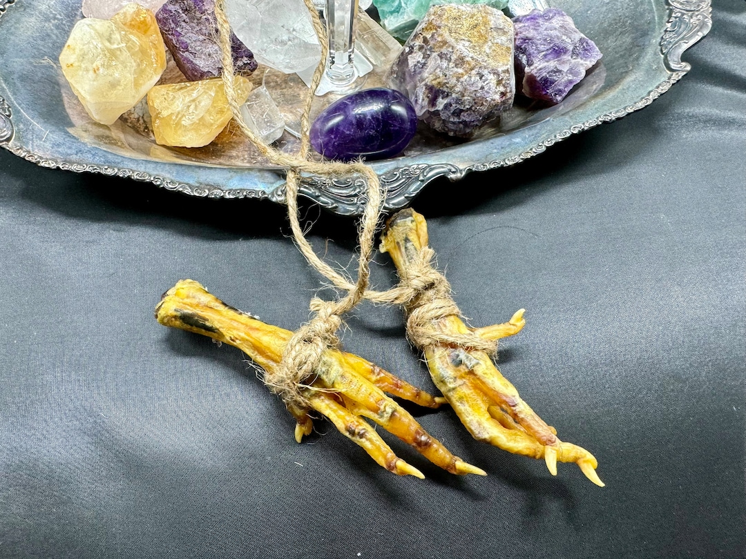 CHICKEN FEET Voodoo Good Luck Charm Black Magic Magick Hoodoo Occult ...