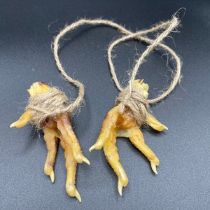 CHICKEN FEET Voodoo Good Luck Charm Black Magic Magick Hoodoo Occult ...