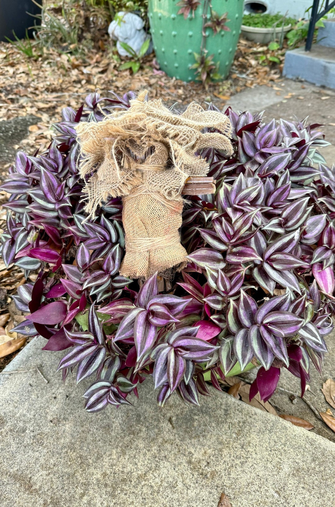 MR SCARECROW CROW Voodoo Doll Amulet Poppet Hoodoo Santeria Shaman ...