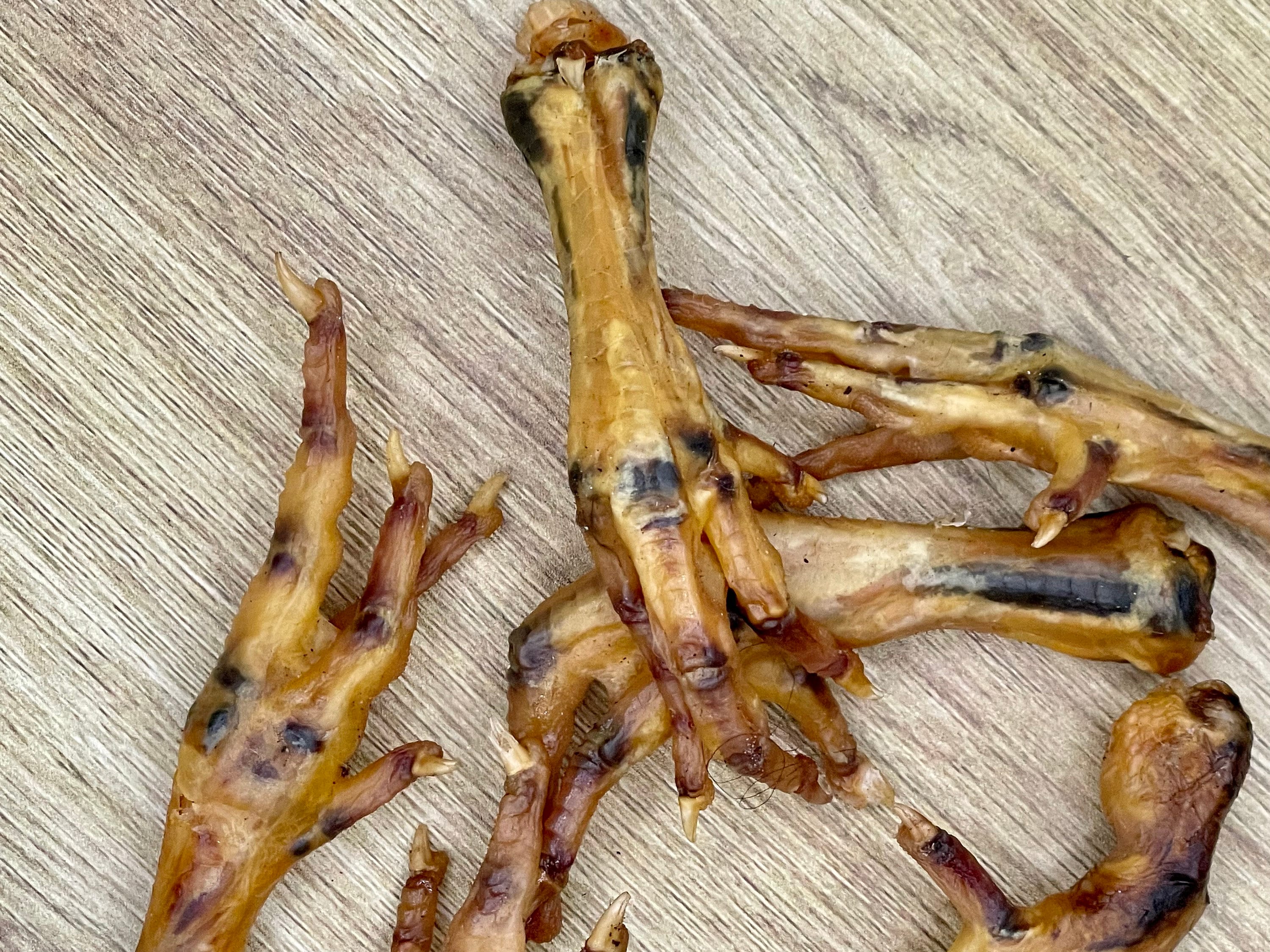 ROOSTER CHICKEN FOOT Feet Large Protection War Retaliation Hex Voodoo ...