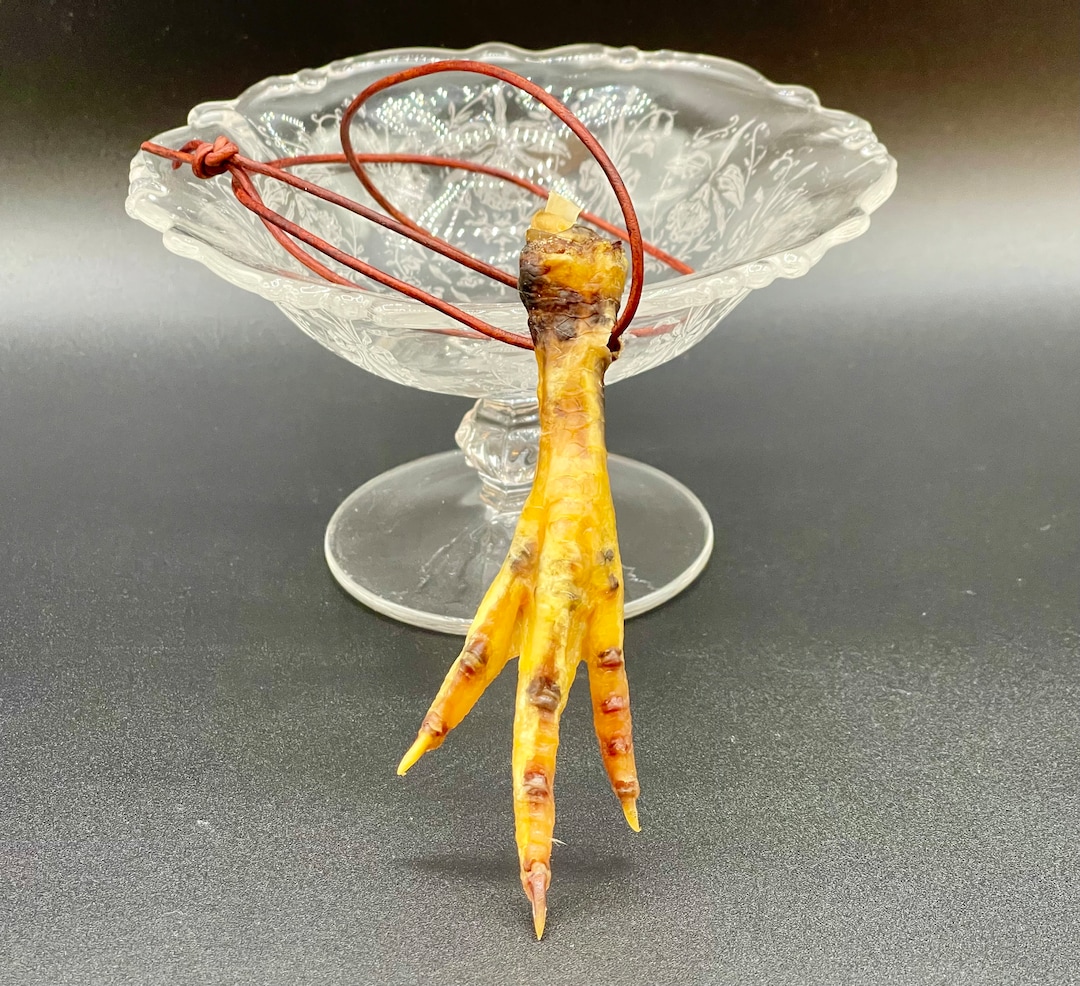 CHICKEN FOOT NECKLACE Brown Round Leather Cord Uncharged Hoodoo Voodoo ...