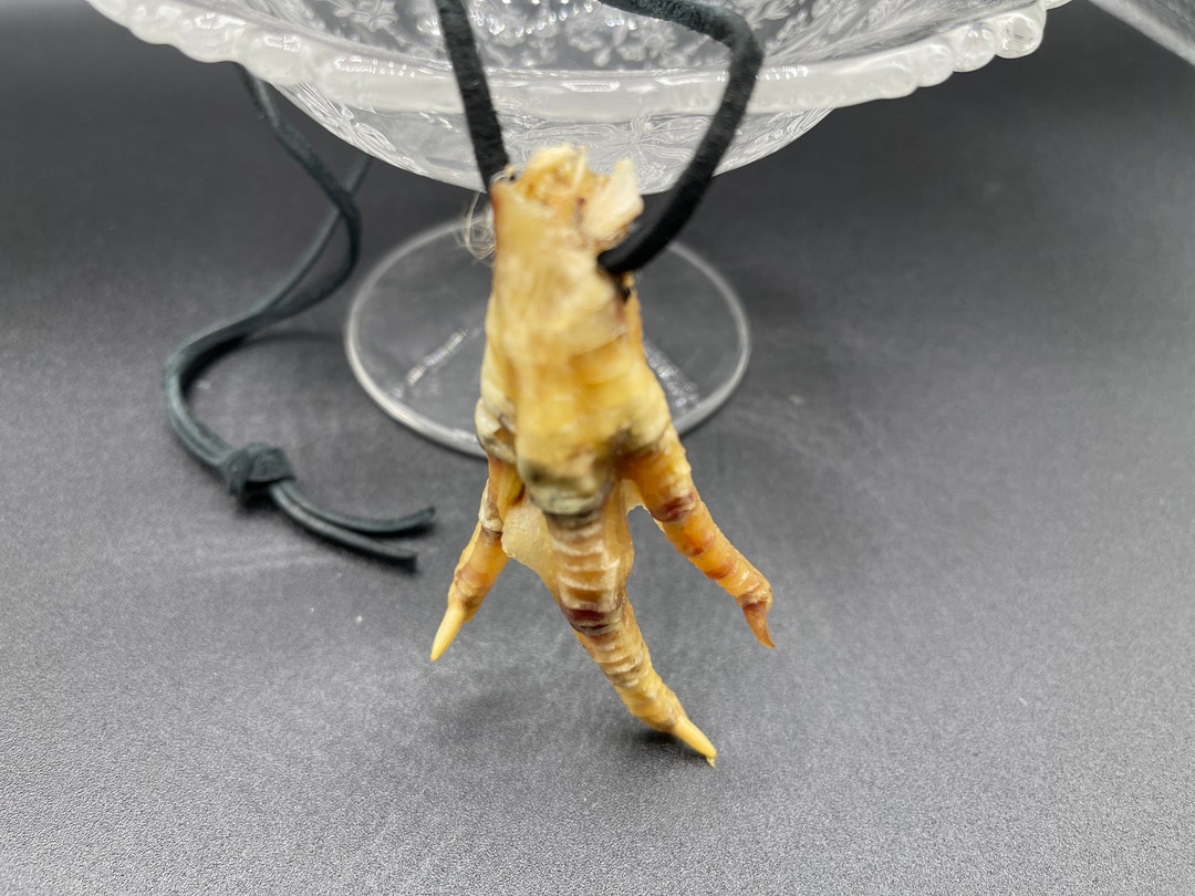 CHICKEN FOOT NECKLACE Black Cord Louisiana Voodoo Hoodoo Protection ...