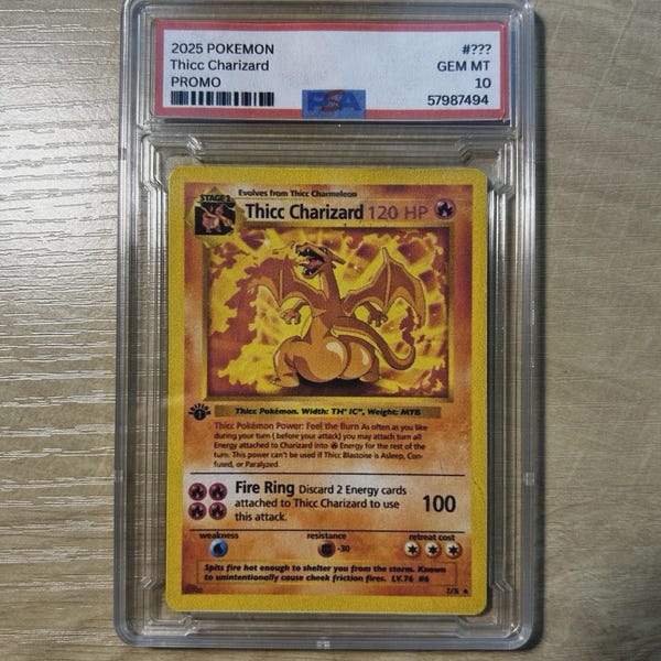 Thick Charizard - Etsy