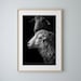 Elegant Black and White Animal Photo Gallery Wall Photography Print ...