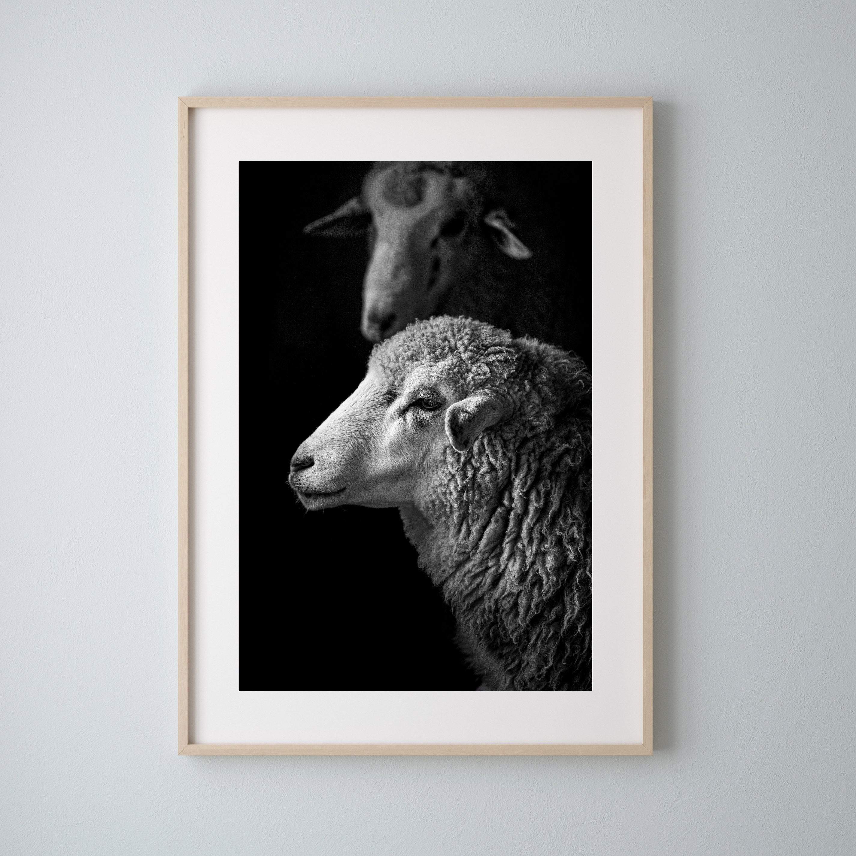 Elegant Black and White Animal Photo Gallery Wall Photography Print ...