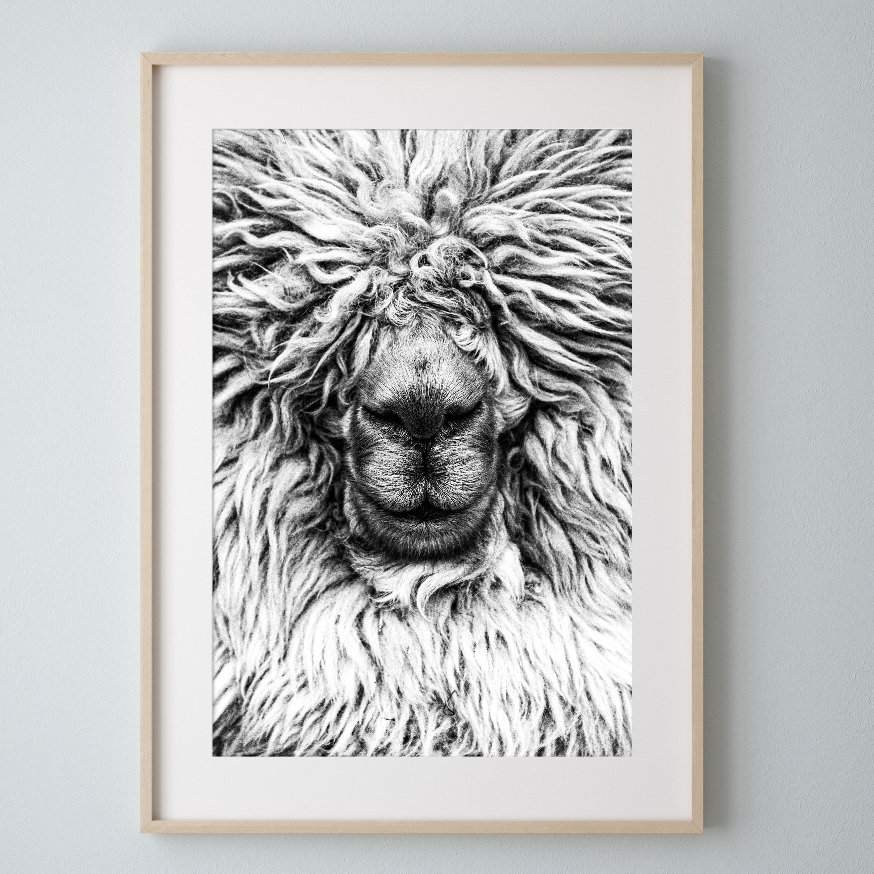 Elegant Black and White Animal Photo Gallery Wall Photography Print ...