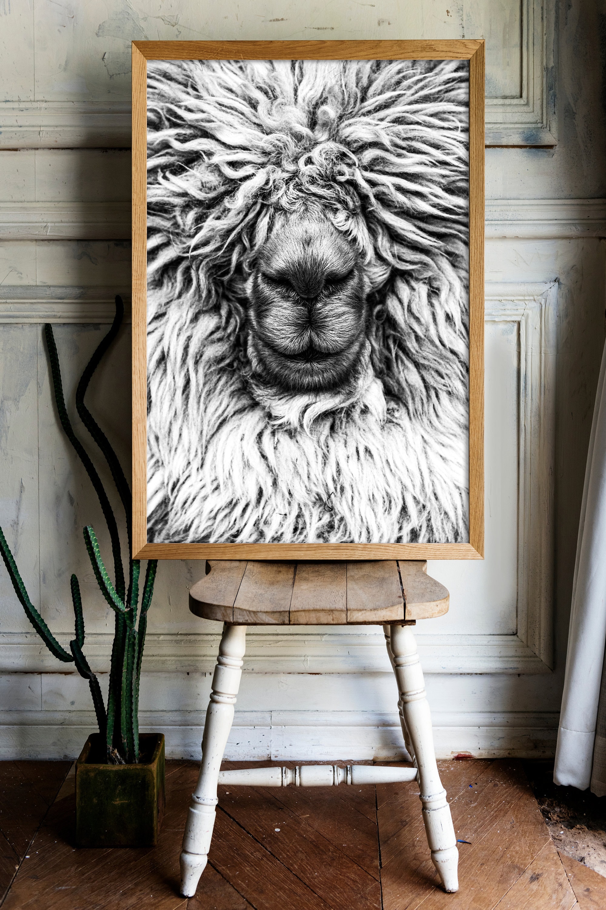 Elegant Black and White Animal Photo Gallery Wall Photography Print ...