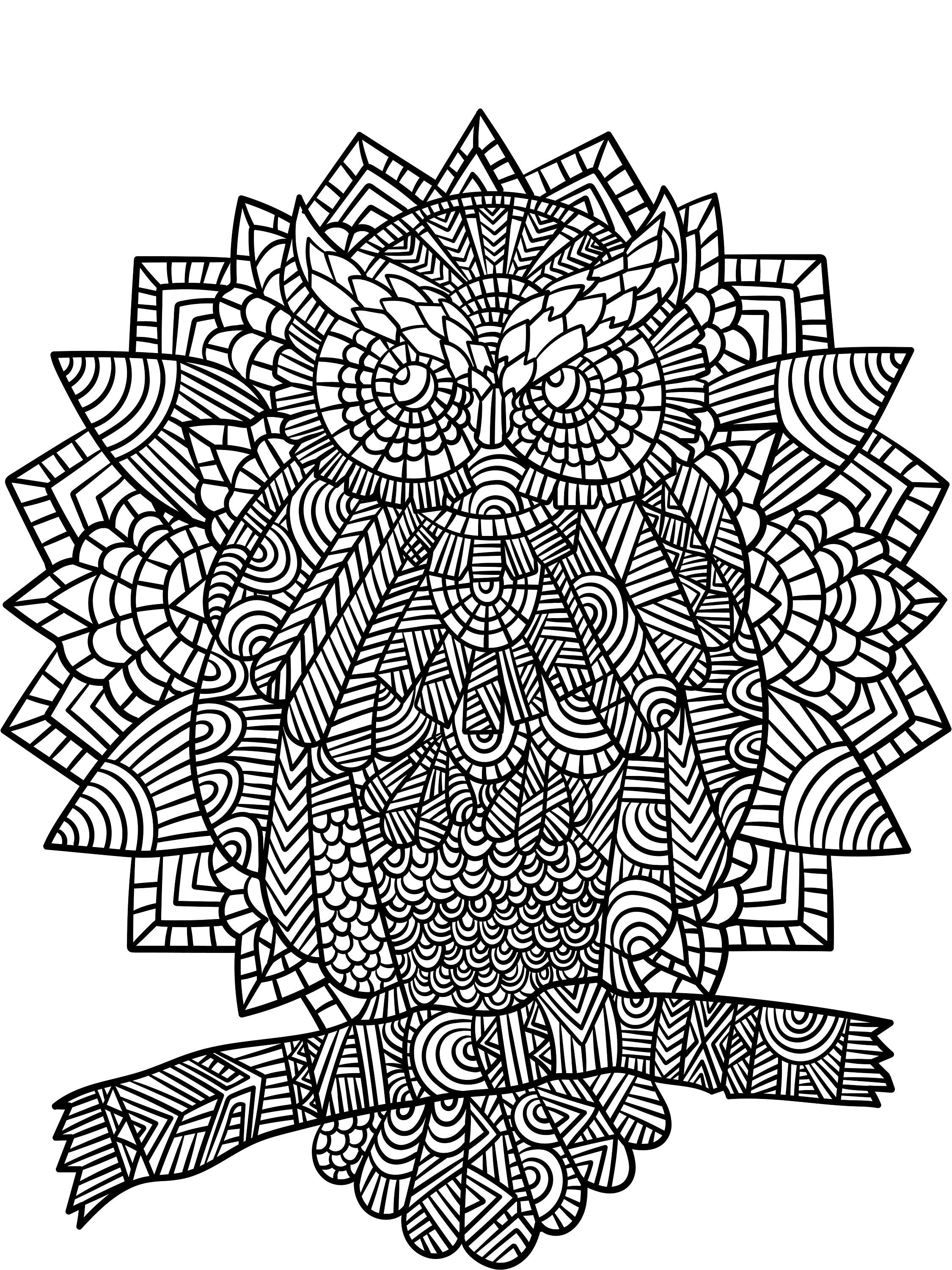 Animal Coloring Sheets (50 Sheets!) - Fantastic Animals! - Etsy