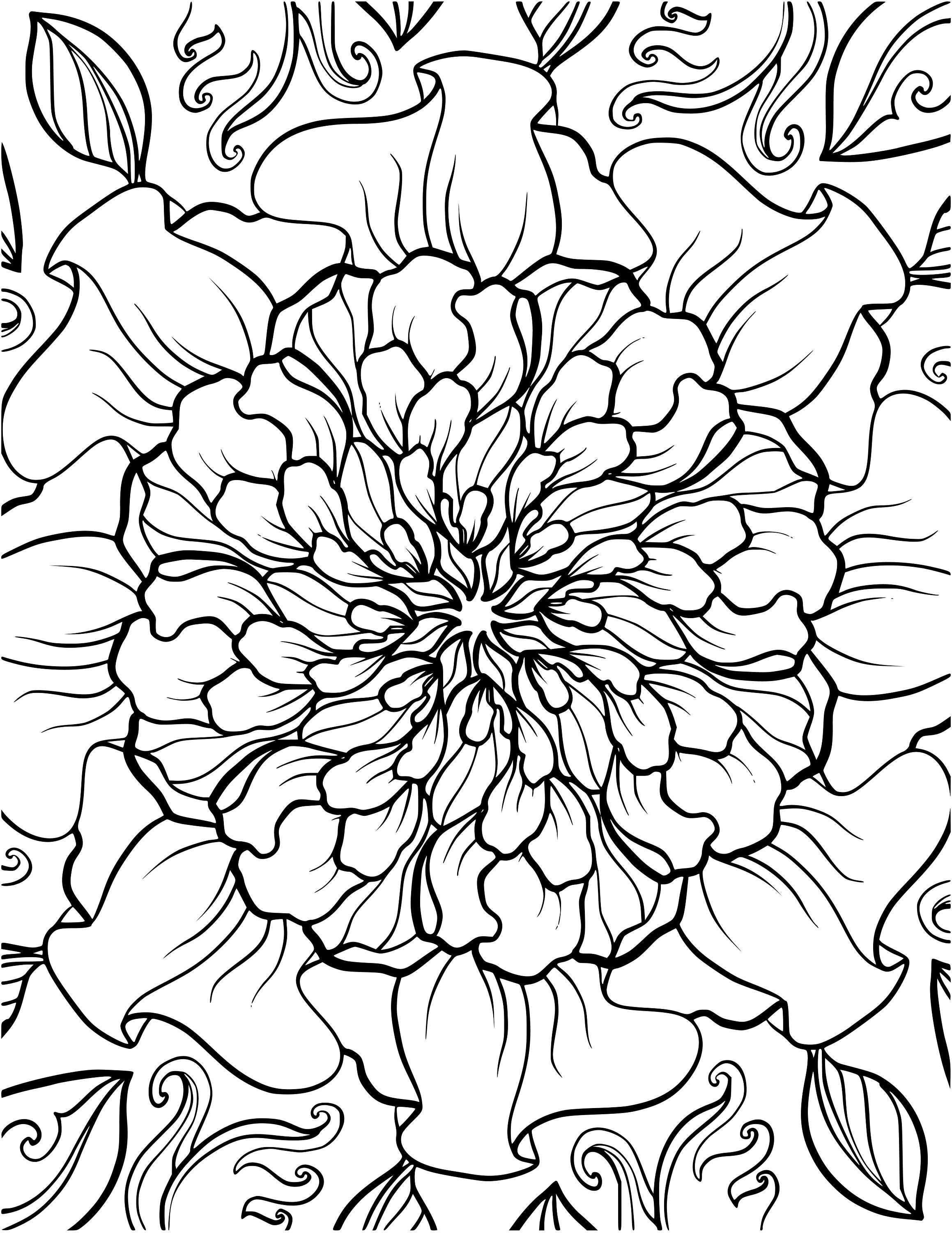 Whimsical Flowers (23 Sheets) Coloring Book - Etsy