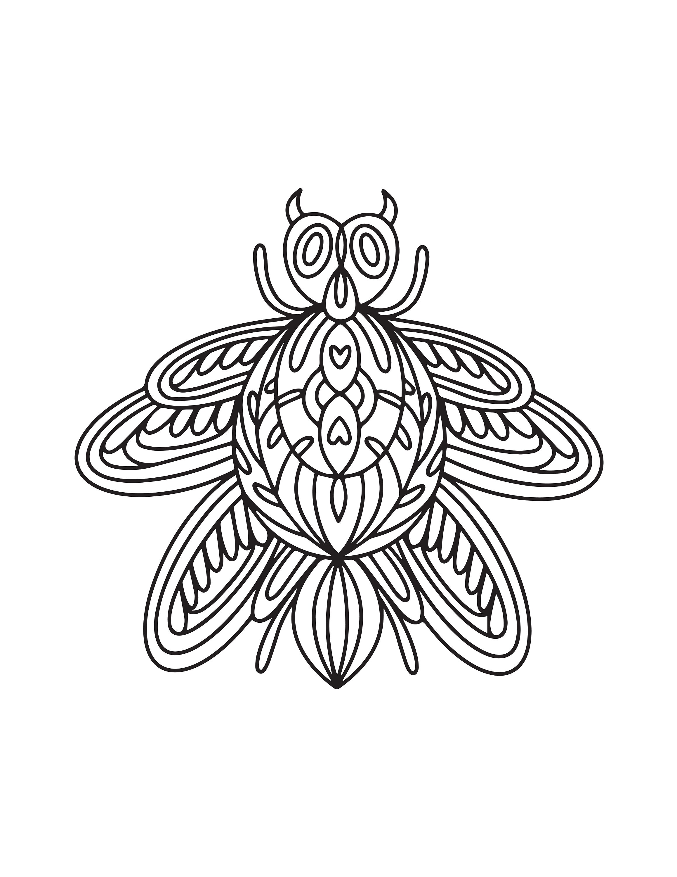 Bug Coloring Sheets (13 Sheets) - Etsy