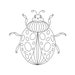Bug Coloring Sheets (13 Sheets) - Etsy