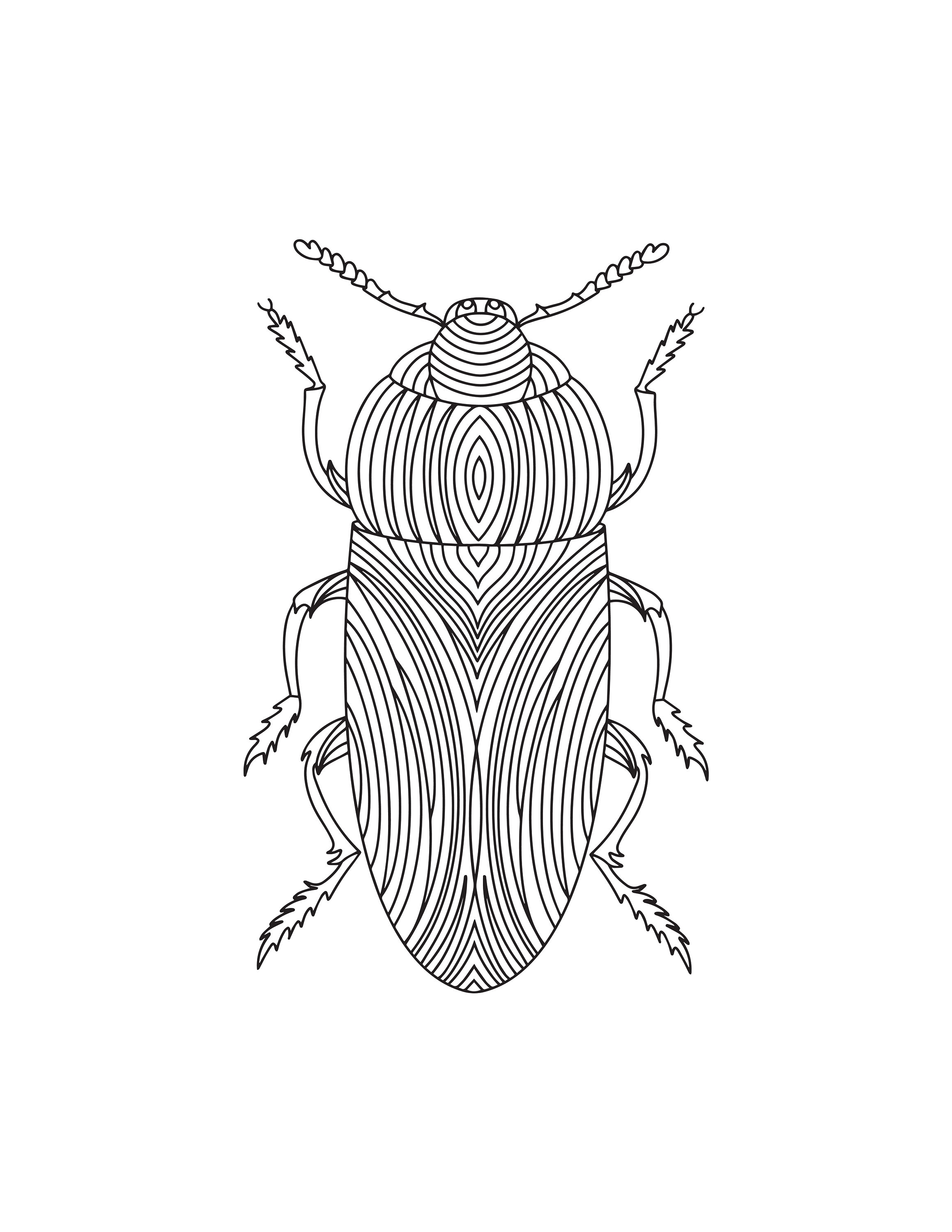 Bug Coloring Sheets (13 Sheets) - Etsy