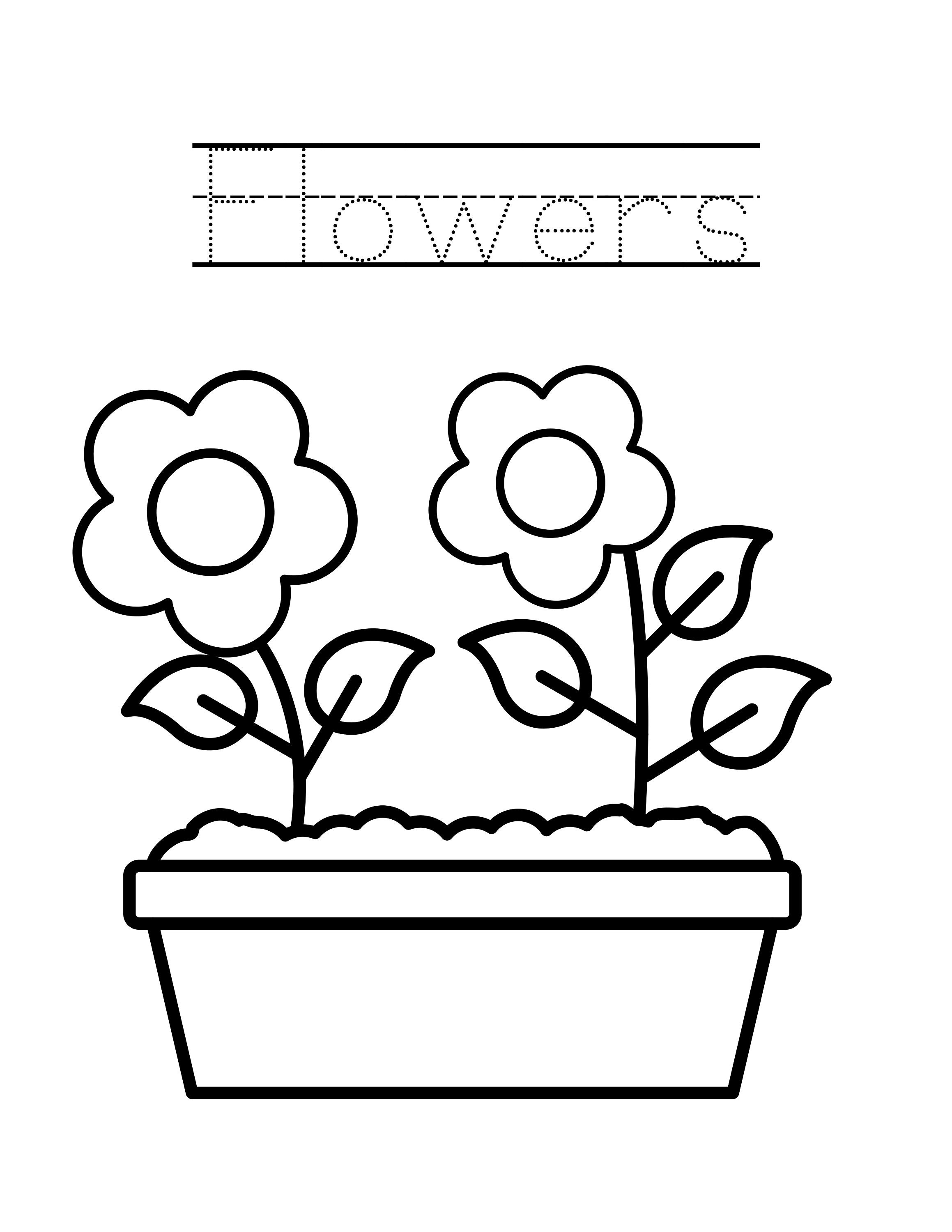 Spring Coloring Book - Etsy