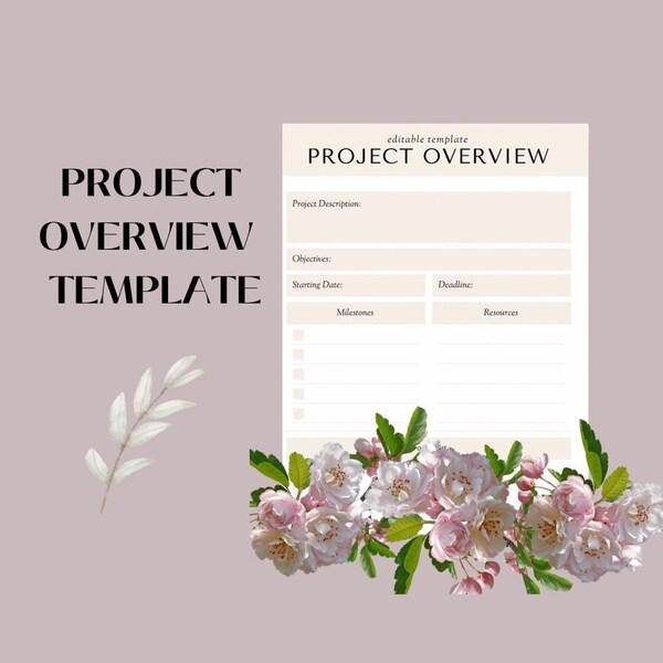 Project Overview Template Excel - Etsy
