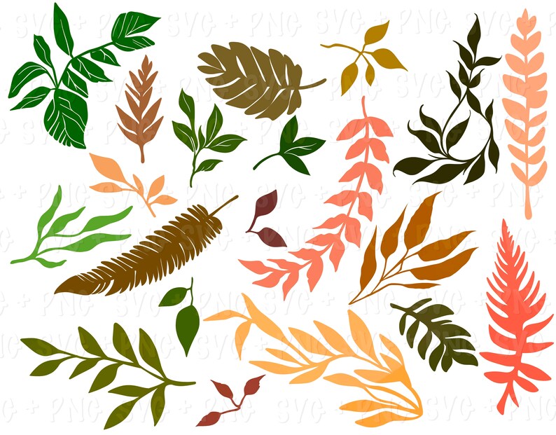 50 Leaves Clipart, Hand Drawn Leaves, SVG, PNG, Leaf Template, Plant ...