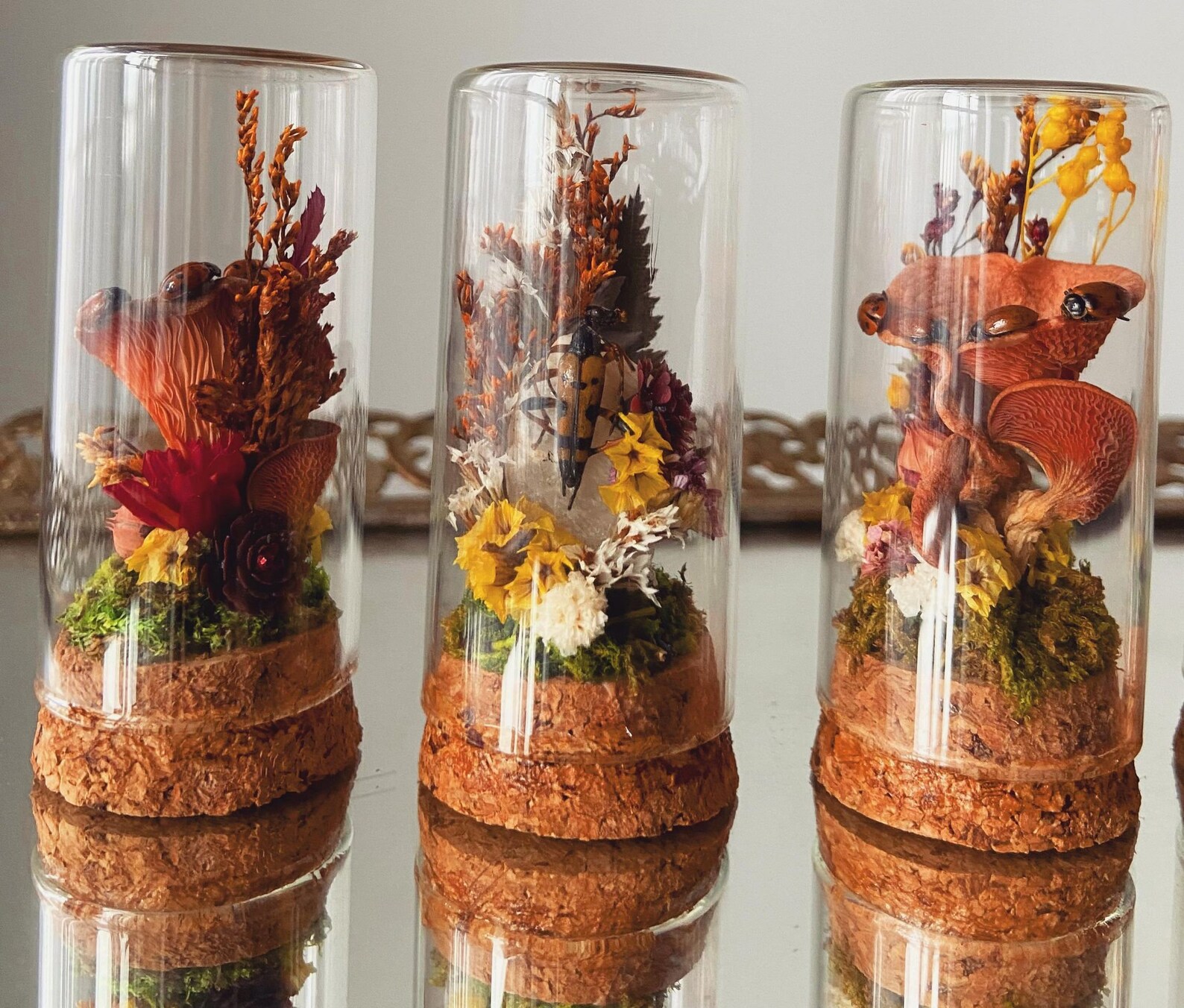 Glass Terrarium Specimens - Etsy