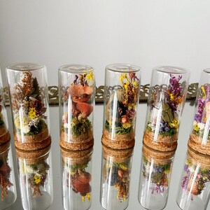 Glass Terrarium Specimens - Etsy