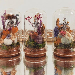 Miniature Specimen Diorama Terrarium - Etsy