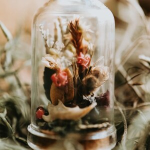 Miniature Specimen Diorama Terrarium - Etsy