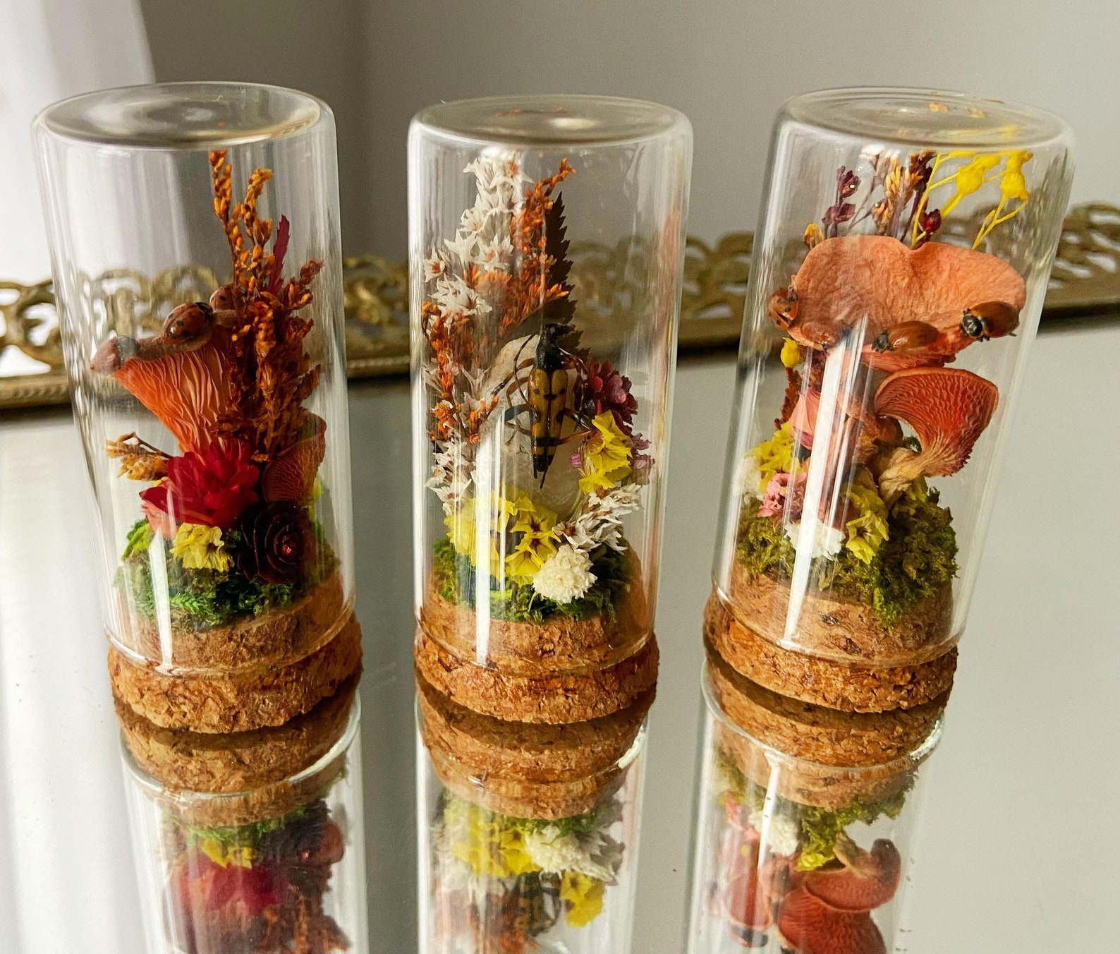 Glass Terrarium Specimens - Etsy