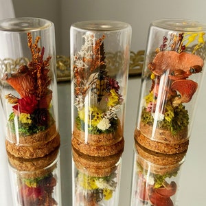 Glass Terrarium Specimens - Etsy