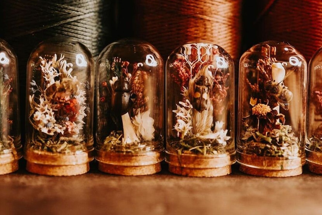 Miniature Specimen Diorama Terrarium - Etsy Australia