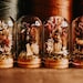 Miniature Specimen Diorama Terrarium - Etsy