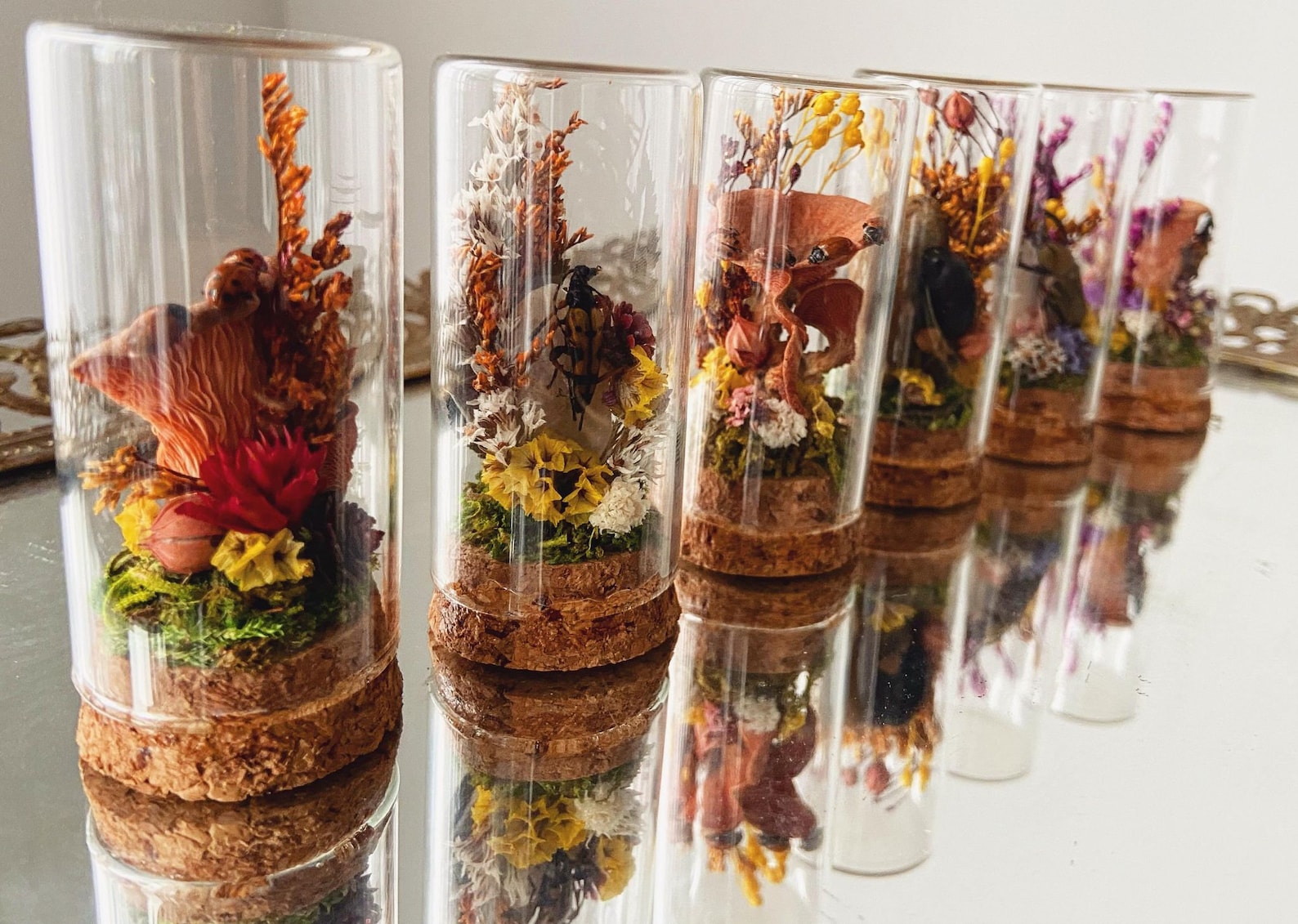 Glass Terrarium Specimens - Etsy