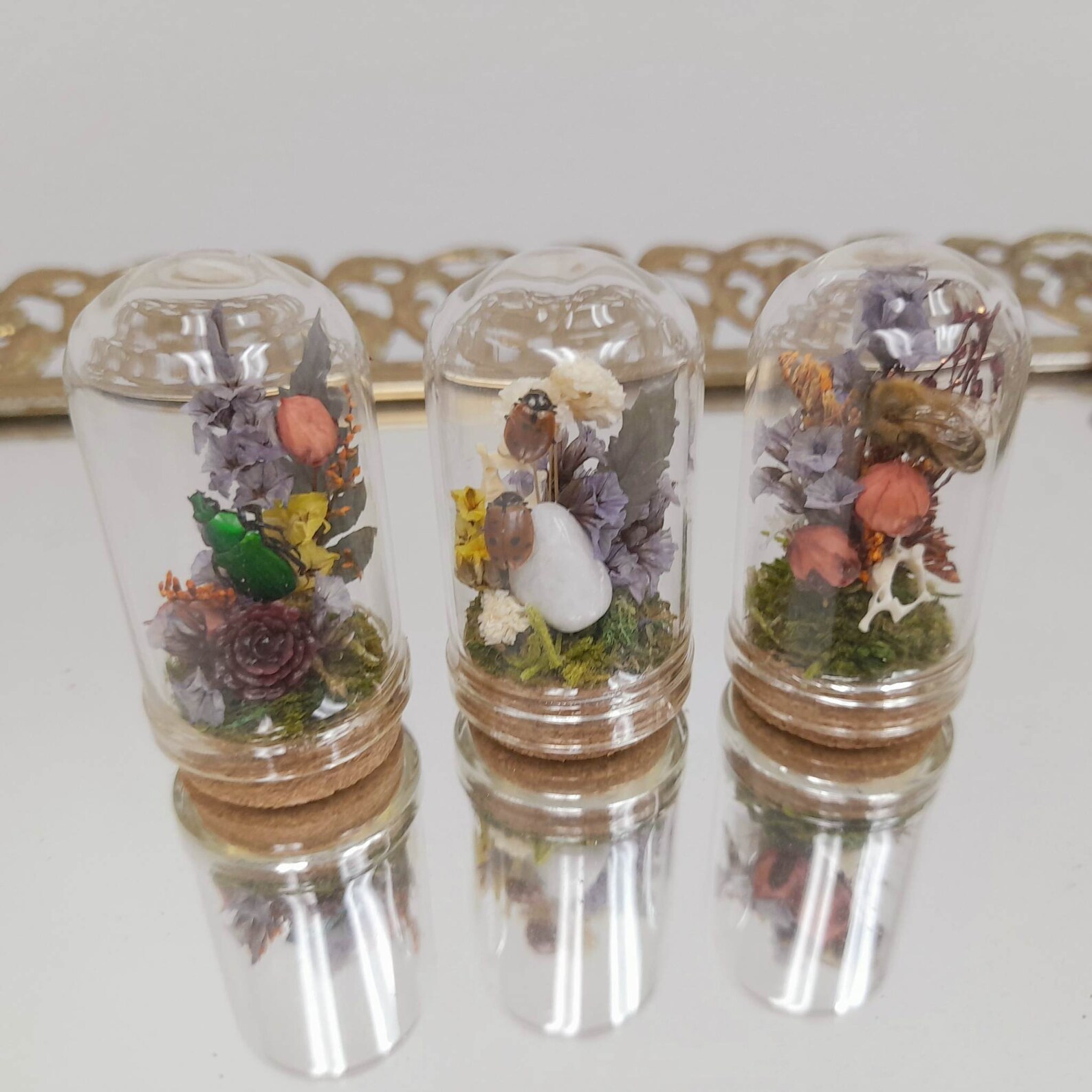 Miniature Specimen Diorama Terrarium - Etsy