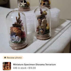 Miniature Specimen Diorama Terrarium - Etsy
