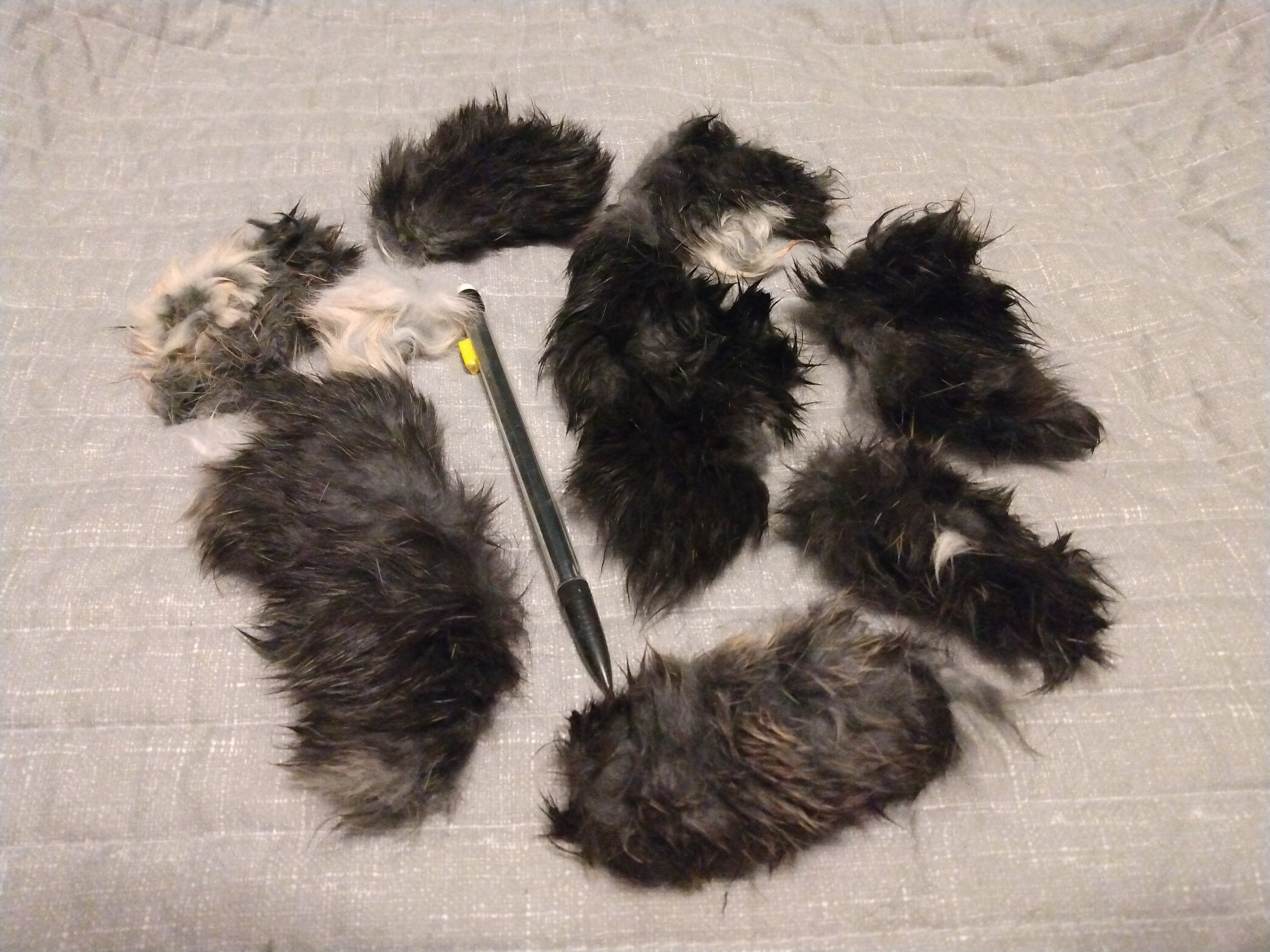 Dehydrated Rabbit Pelt Treats - Etsy