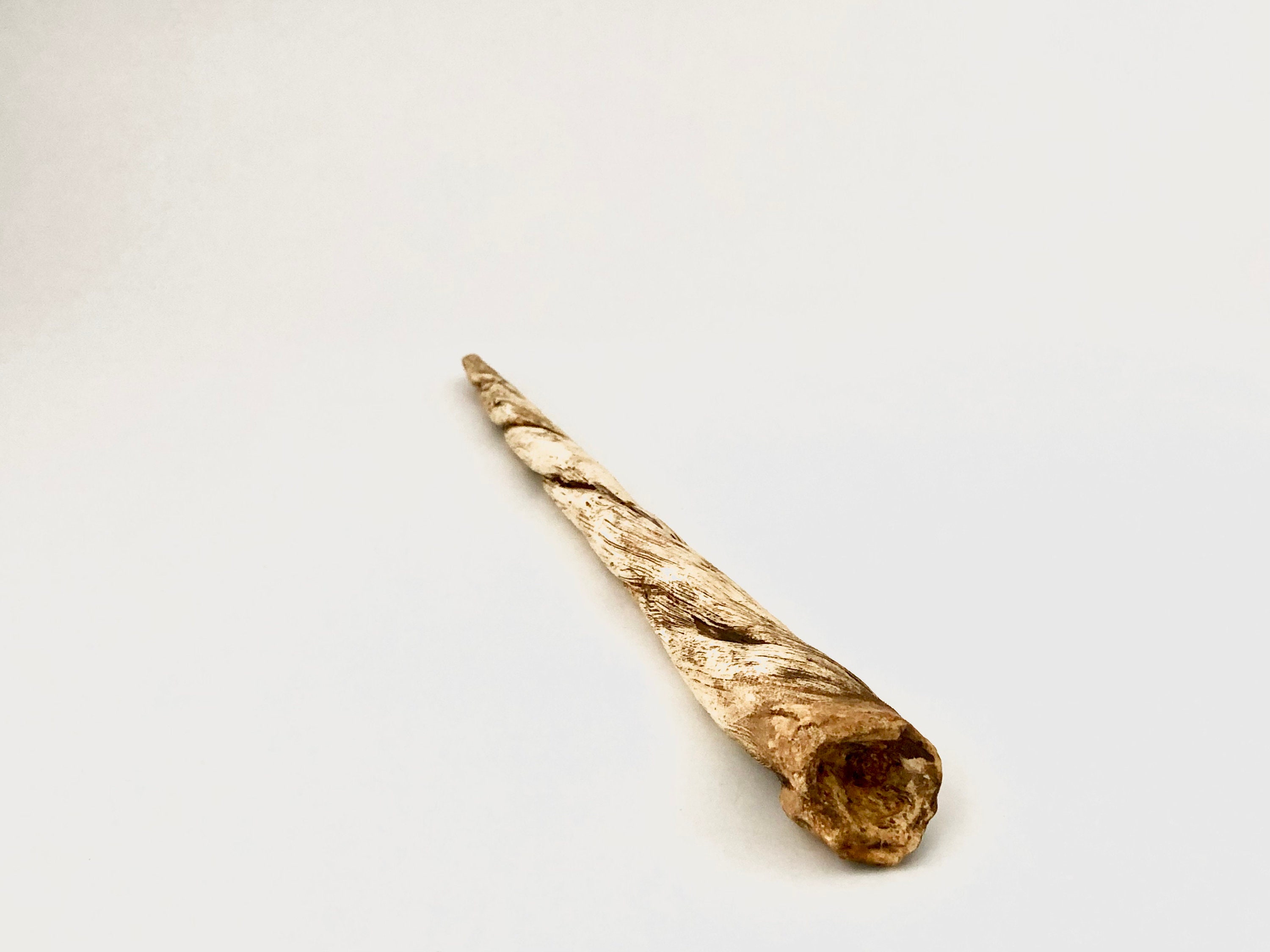 Ivory Narwhal Tusk Cast Resin Tooth Replica 10” - Etsy