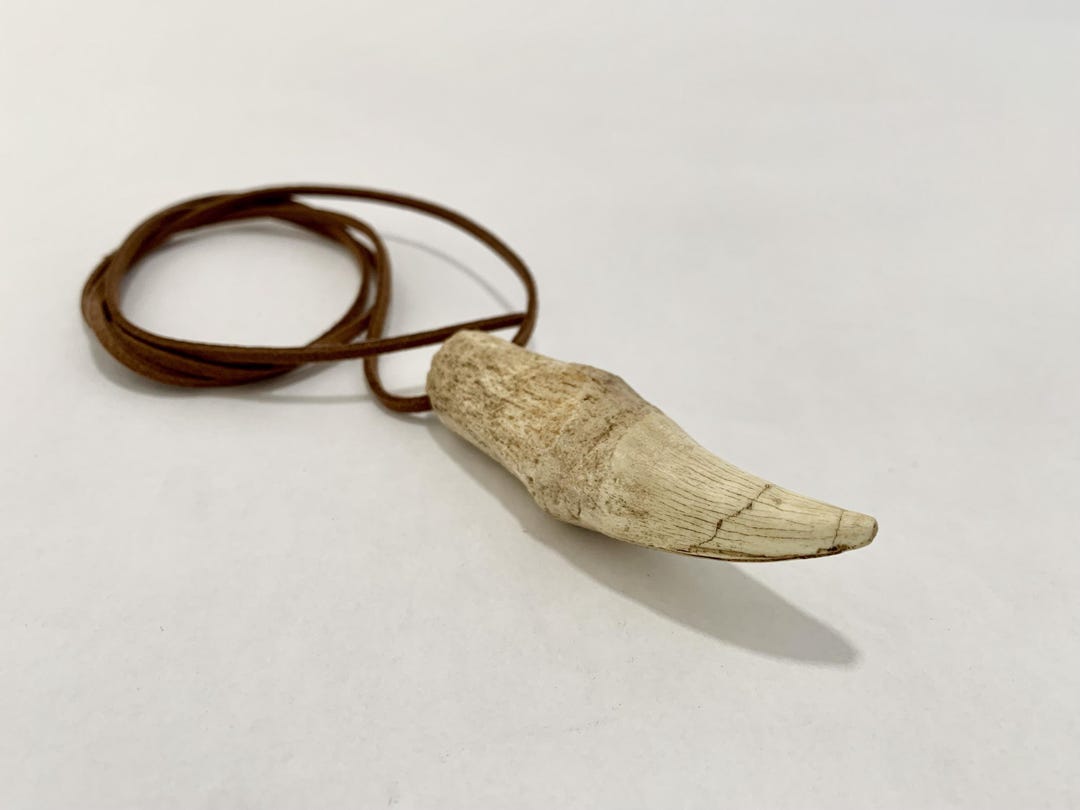 African Lion Fang Tribal Talisman Necklace Cast Resin Fossil Replica 3 ...