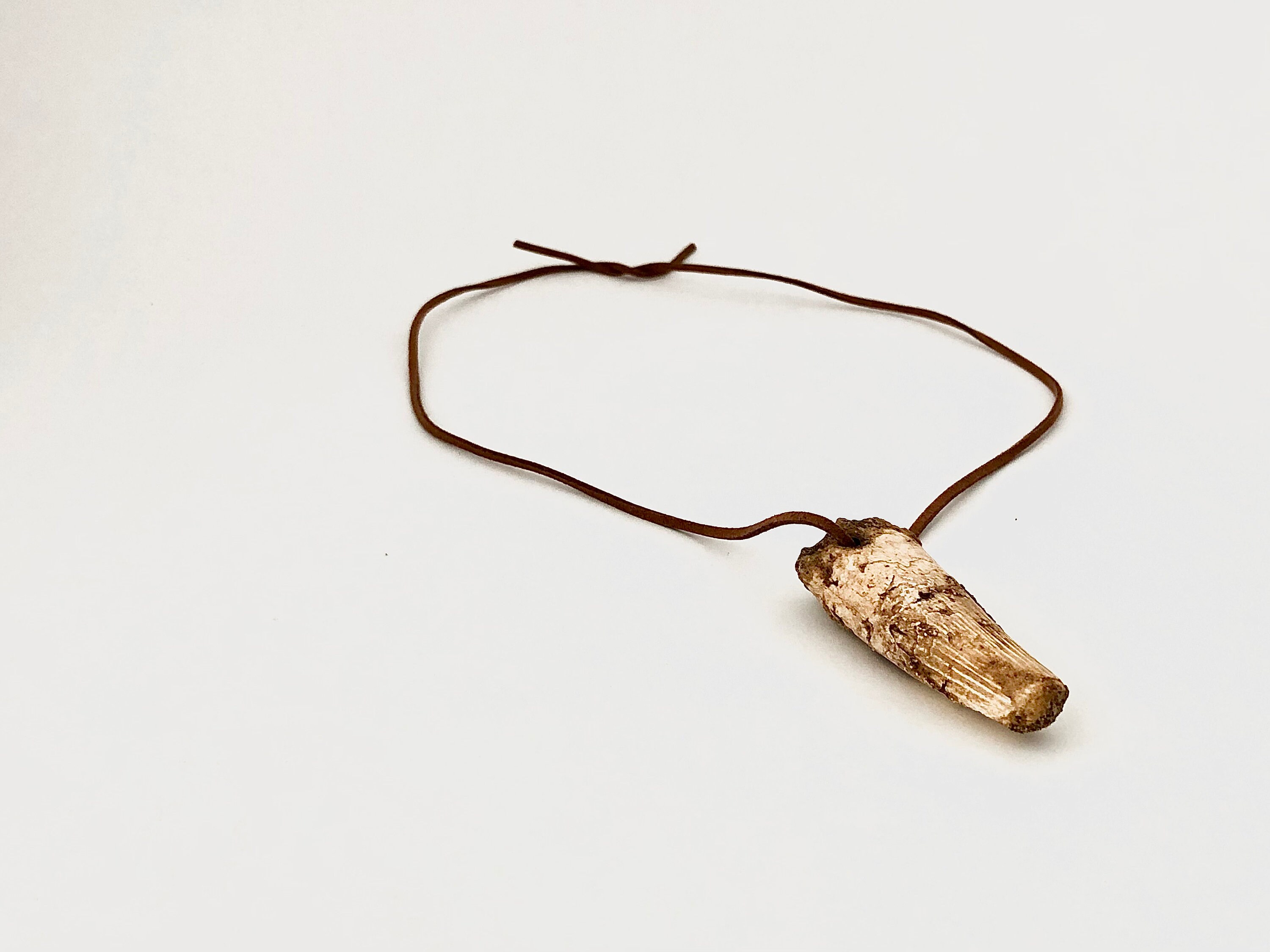 Black Dragon Tooth Necklace Cast Resin Fossil Replica 2.9 - Etsy