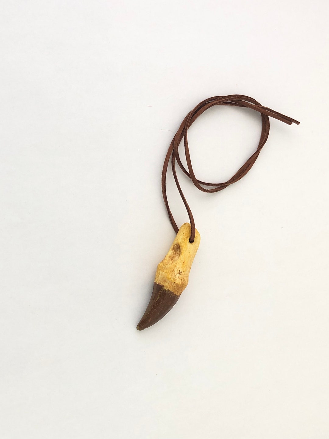 Basilisk Tooth Necklace Cast Resin Fossil Replica 3” - Etsy