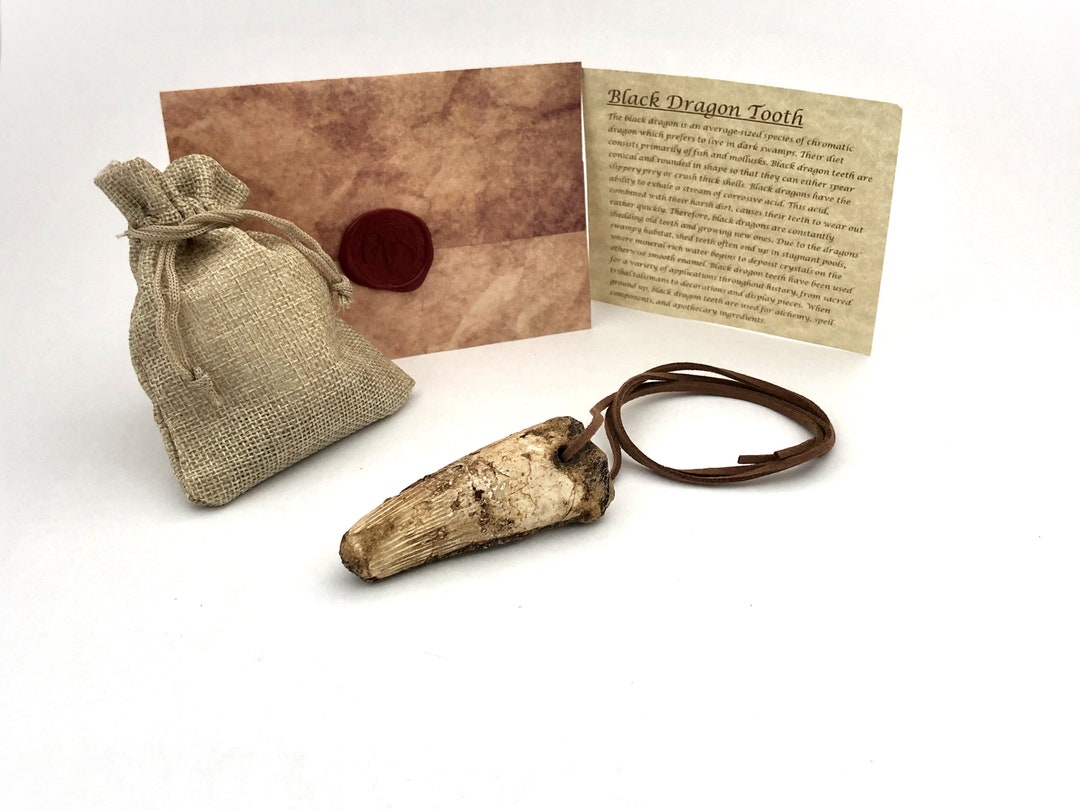Black Dragon Tooth Necklace Cast Resin Fossil Replica 2.9" - Etsy