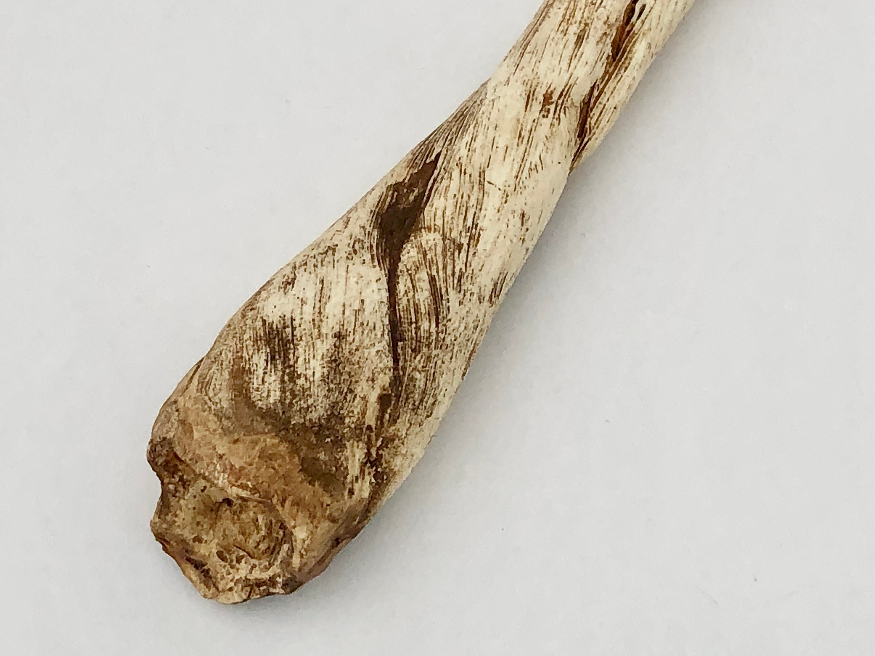 Ivory Narwhal Tusk Cast Resin Tooth Replica 10 - Etsy