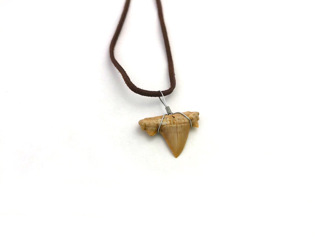 Amulet of Poison Resistance: Prehistoric Shark Tooth Necklace ...