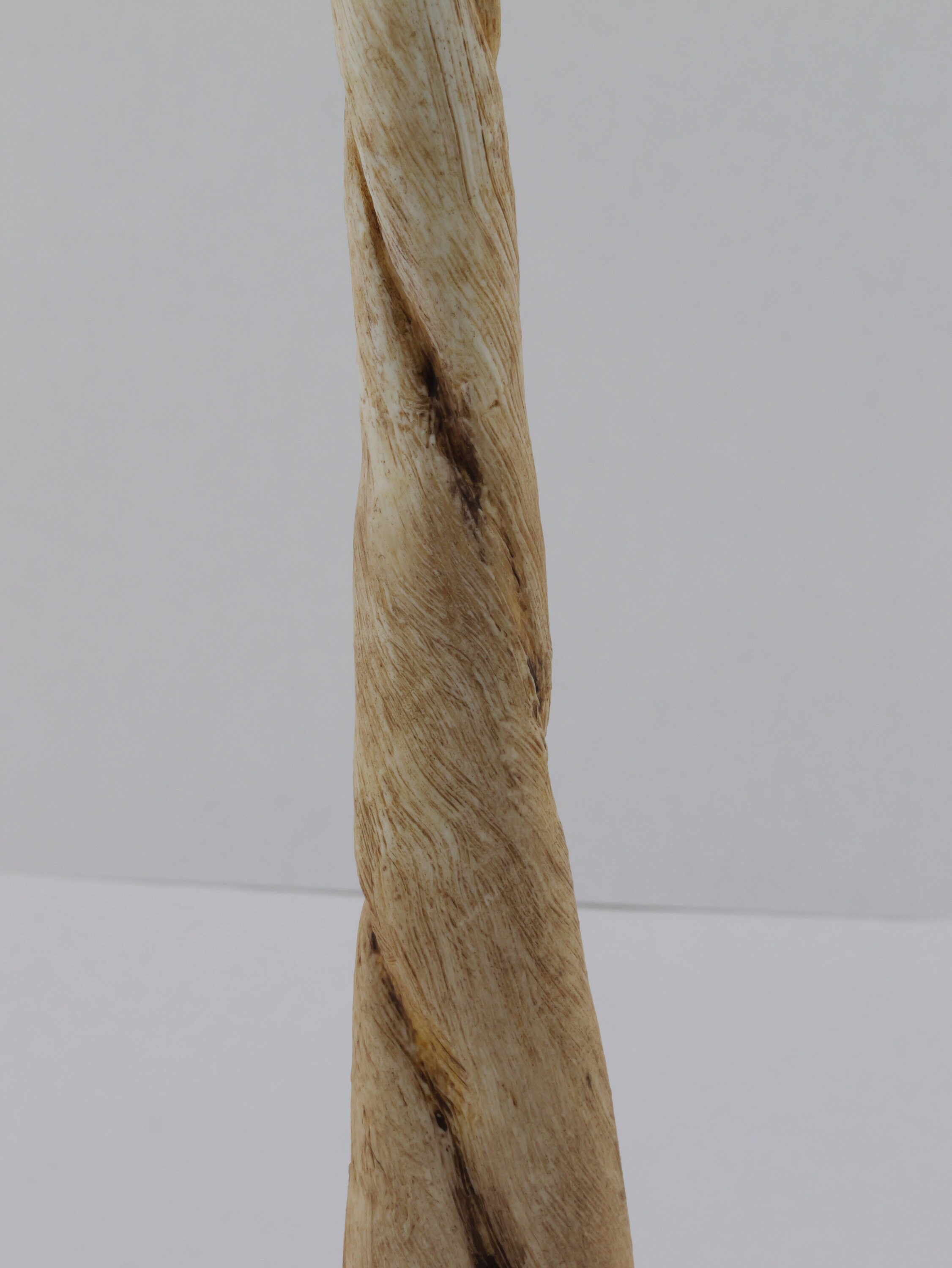 Unicorn Horn Cast Resin Bone Replica 10 - Etsy